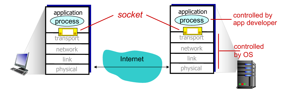 CS305 计算机网络 | 牛马农田