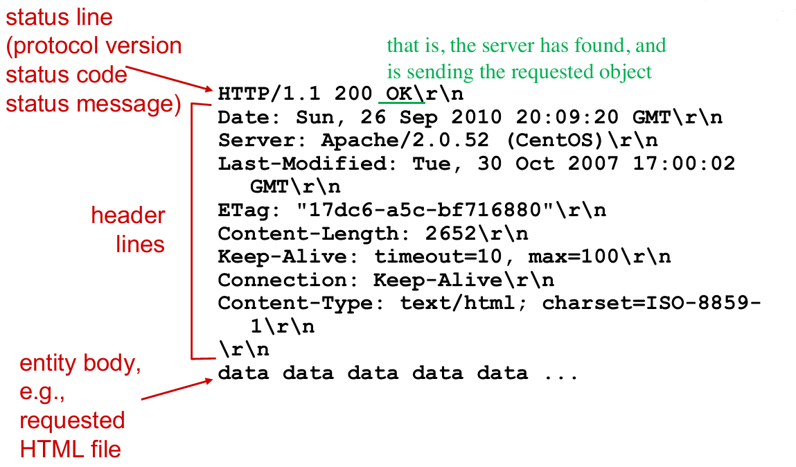 CS305 计算机网络 | 牛马农田