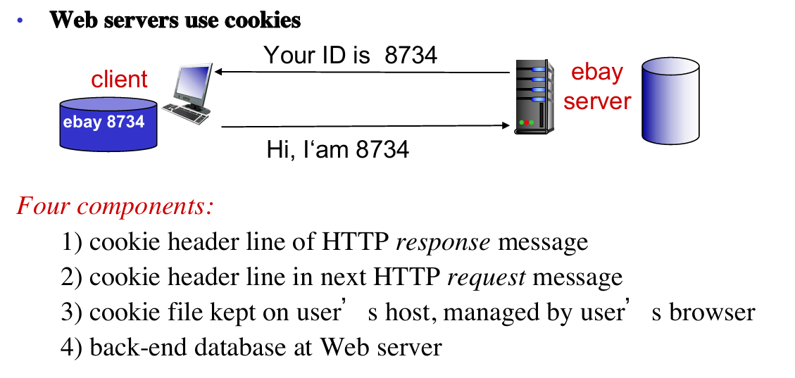 CS305 计算机网络 | 牛马农田