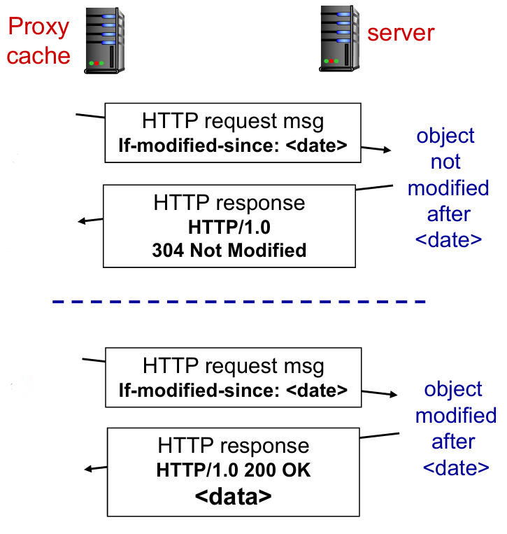 CS305 计算机网络 | 牛马农田
