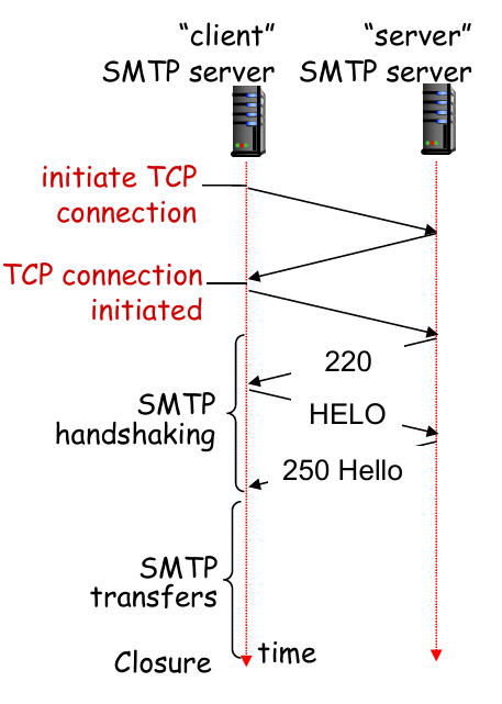 CS305 计算机网络 | 牛马农田