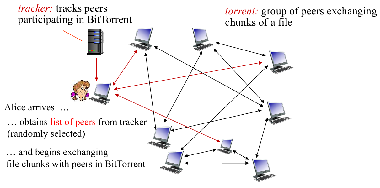 CS305 计算机网络 | 牛马农田