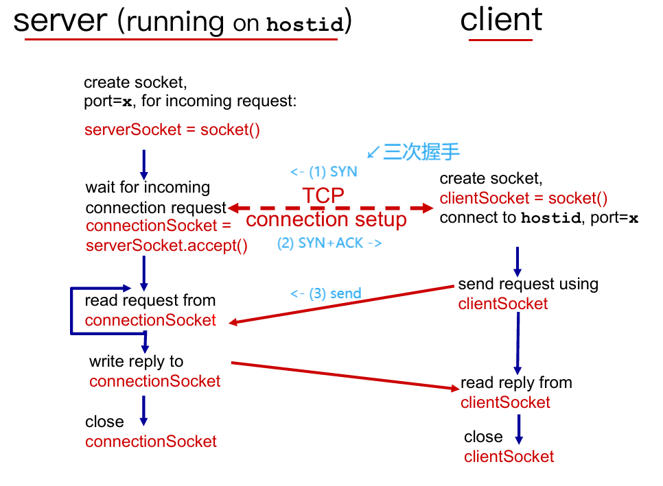 CS305 计算机网络 | 牛马农田