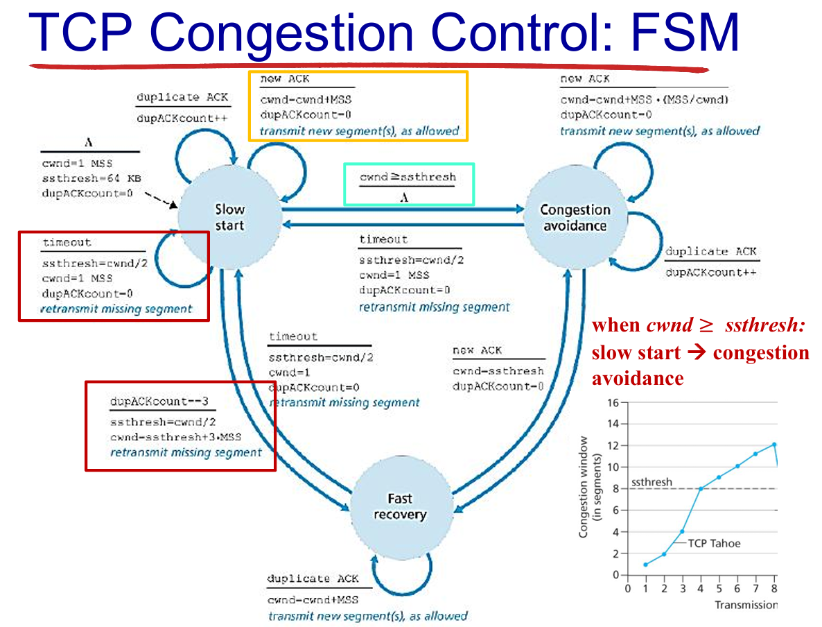 CS305 计算机网络 | 牛马农田